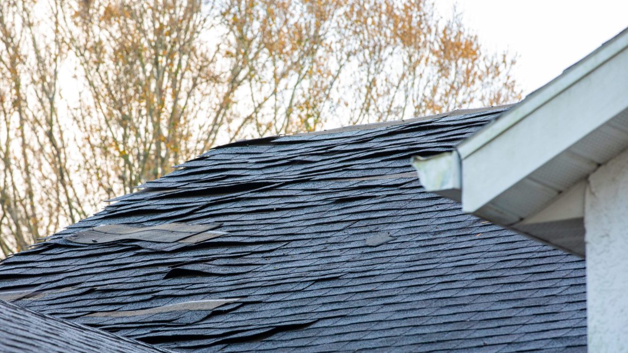 Visible Broken Roof Shingles? Here’s What To Do. | NFR Roofing